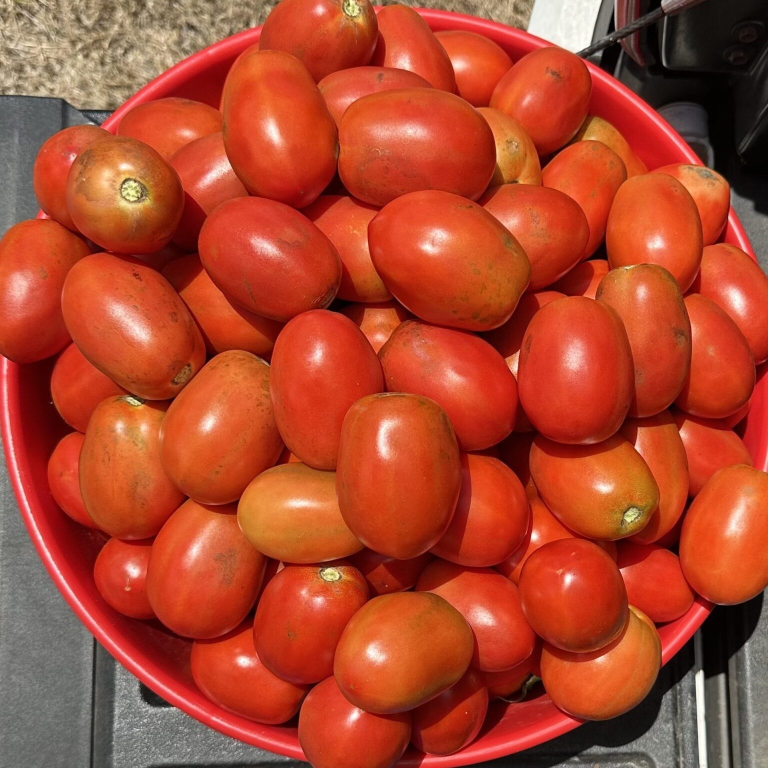 Manda Harvest – MANDA